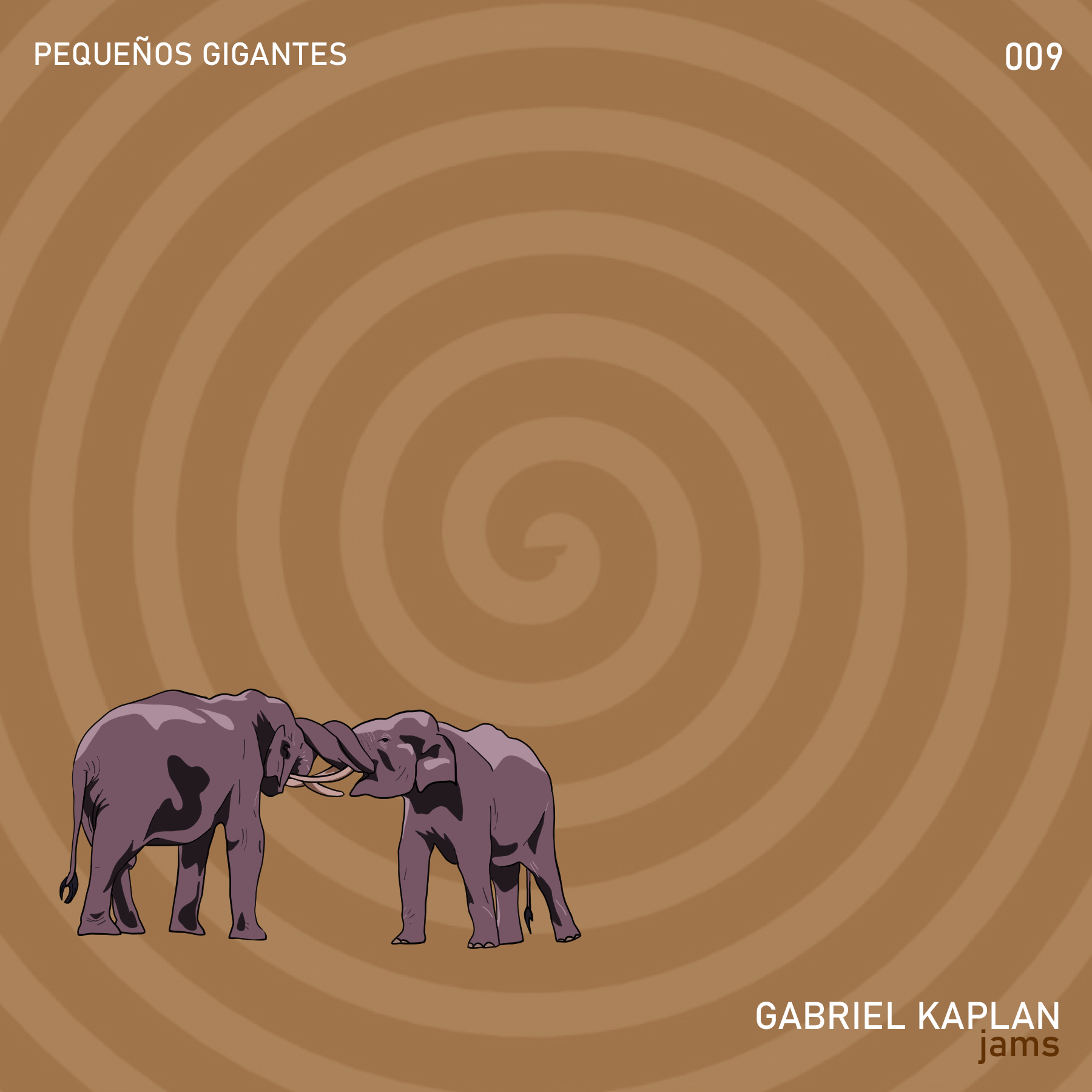 Mi música - Gabriel Kaplan